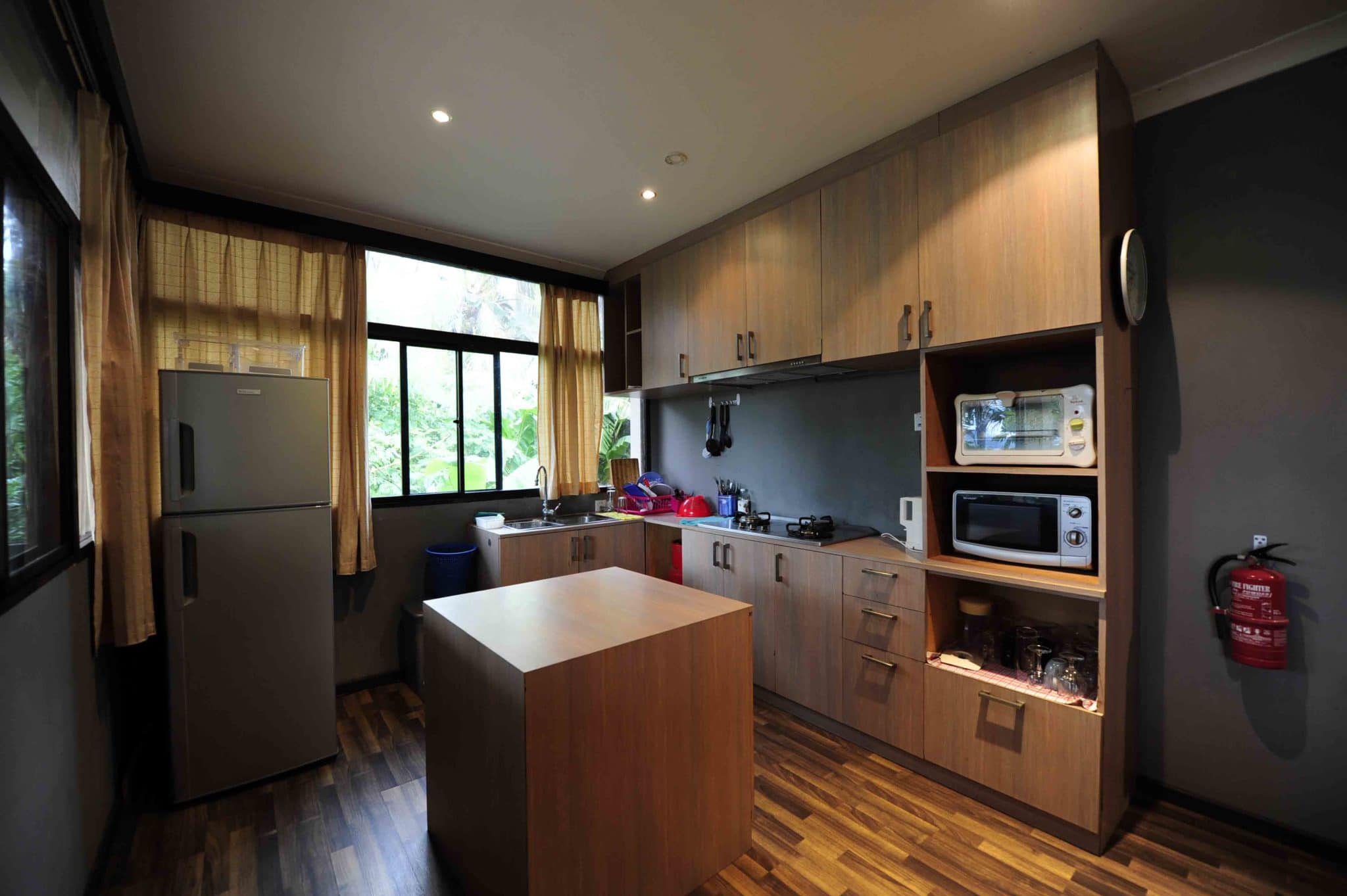 Blue Whales in Timor Leste - Experience Big Animals