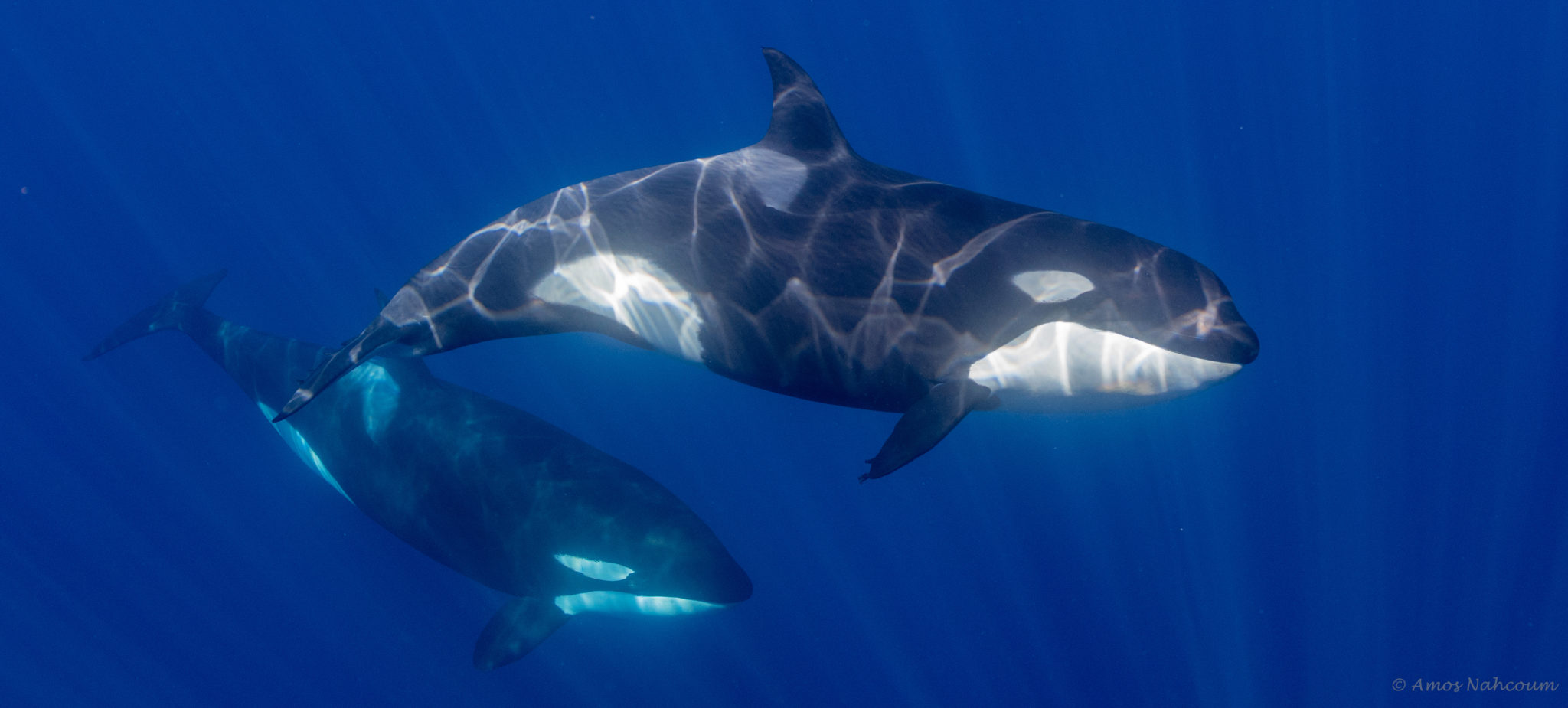 Home - Adventure Travel and Nature Photography